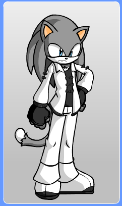 Szarlej the Hedgecat | Sonic Fanon Wiki | Fandom