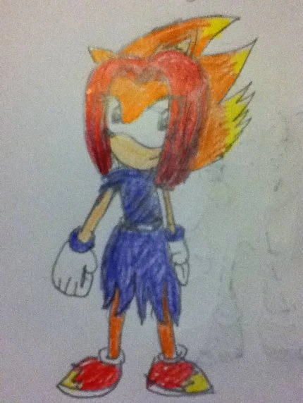 Firaga the Hedgehog | Sonic Fanon Wiki | Fandom