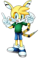 Team Hurricane | Sonic Fanon Wiki | Fandom