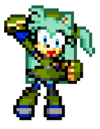 Bianca the Hedgehog | Sonic Fanon Wiki | Fandom