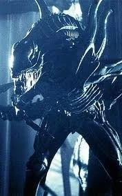 Roleplay:Haunted House | Sonic Fanon Wiki | Fandom