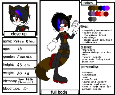 Rylee the Raccoon | Sonic Fanon Wiki | Fandom