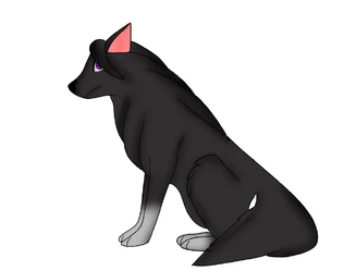 Violet the Wolfwalker | Sonic Fanon Wiki | Fandom