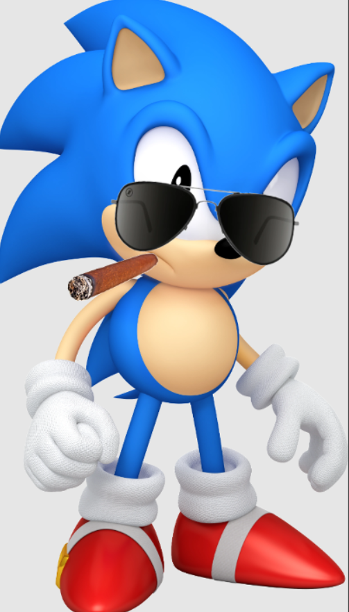 Santiago The Hedgehog | Sonic Fanon Wiki | Fandom