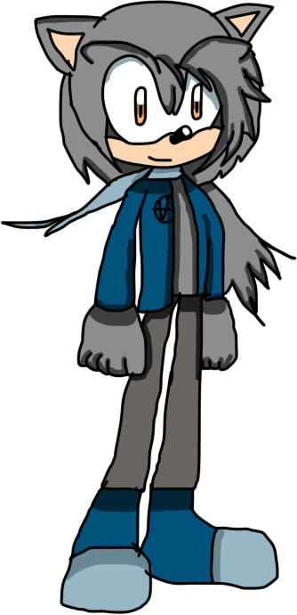 Storm The Hedgehog | Sonic Fanon Wiki | Fandom