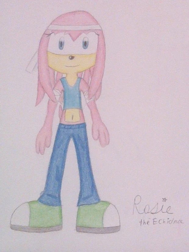 Rosie the Echidna/Gallery | Sonic Fanon Wiki | Fandom