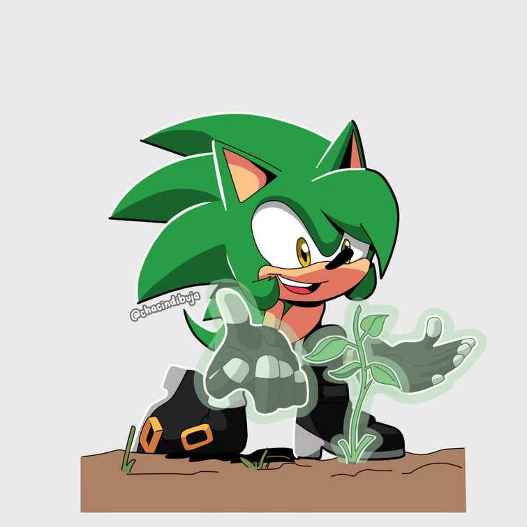 Shyny the Hedgehog/Attacks and Skills | Sonic Fanon Wiki | Fandom