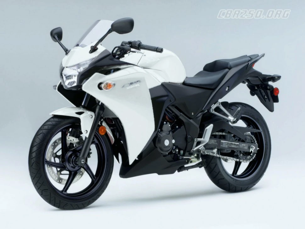 Rutan (New Genesis) | Sonic Fanon Wiki | Fandom