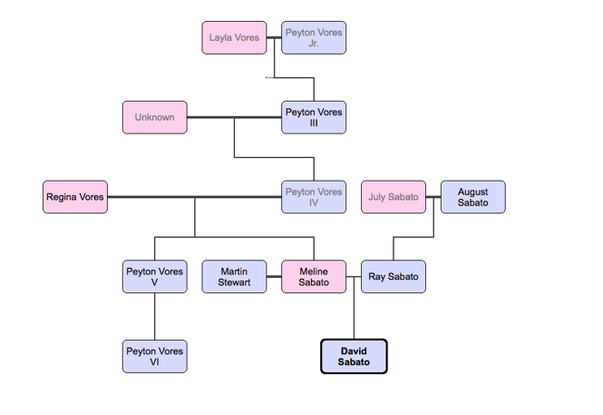 David the HedgeFox | Sonic Fanon Wiki | Fandom