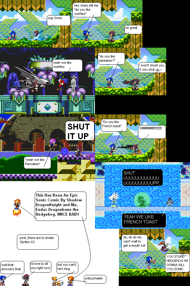 User blog:Shadow DragonKnight/here's me new comic | Sonic Fanon Wiki ...
