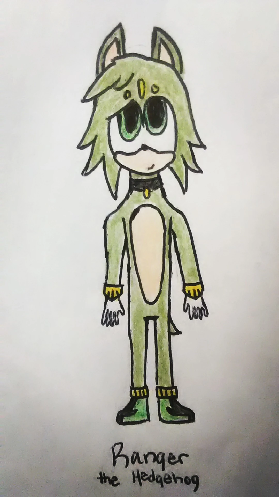 Ranger the Hedgehog | Sonic Fanon Wiki | Fandom