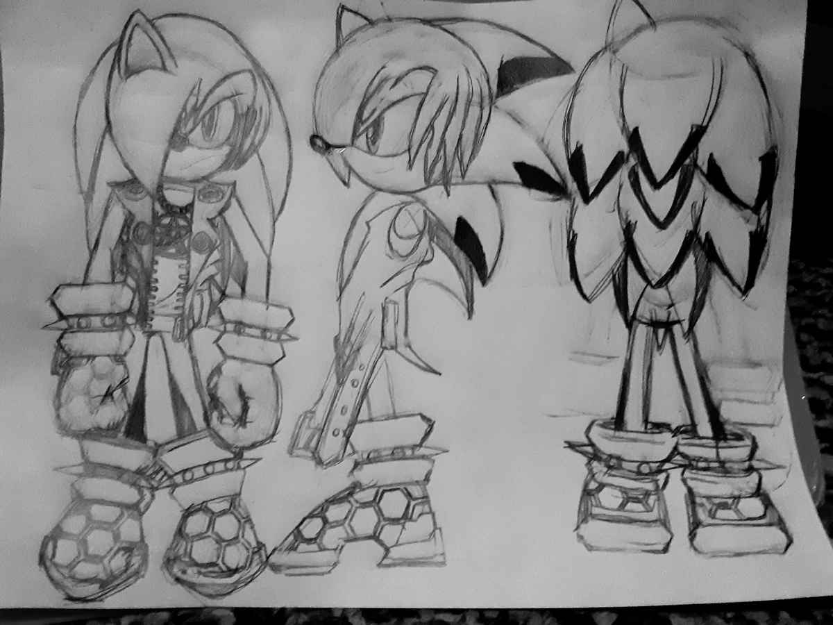 Raven Warrens | Sonic Fanon Wiki | Fandom