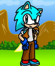 Kyle Tyris The Hedgehog | Sonic Fanon Wiki | Fandom
