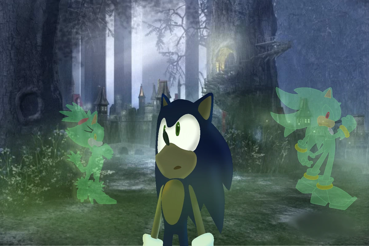 Sonic and the Twilight Ghost | Sonic Fanon Wiki | Fandom