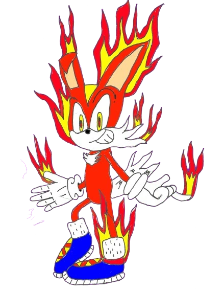 Flame the Fennec Fox | Sonic Fanon Wiki | Fandom