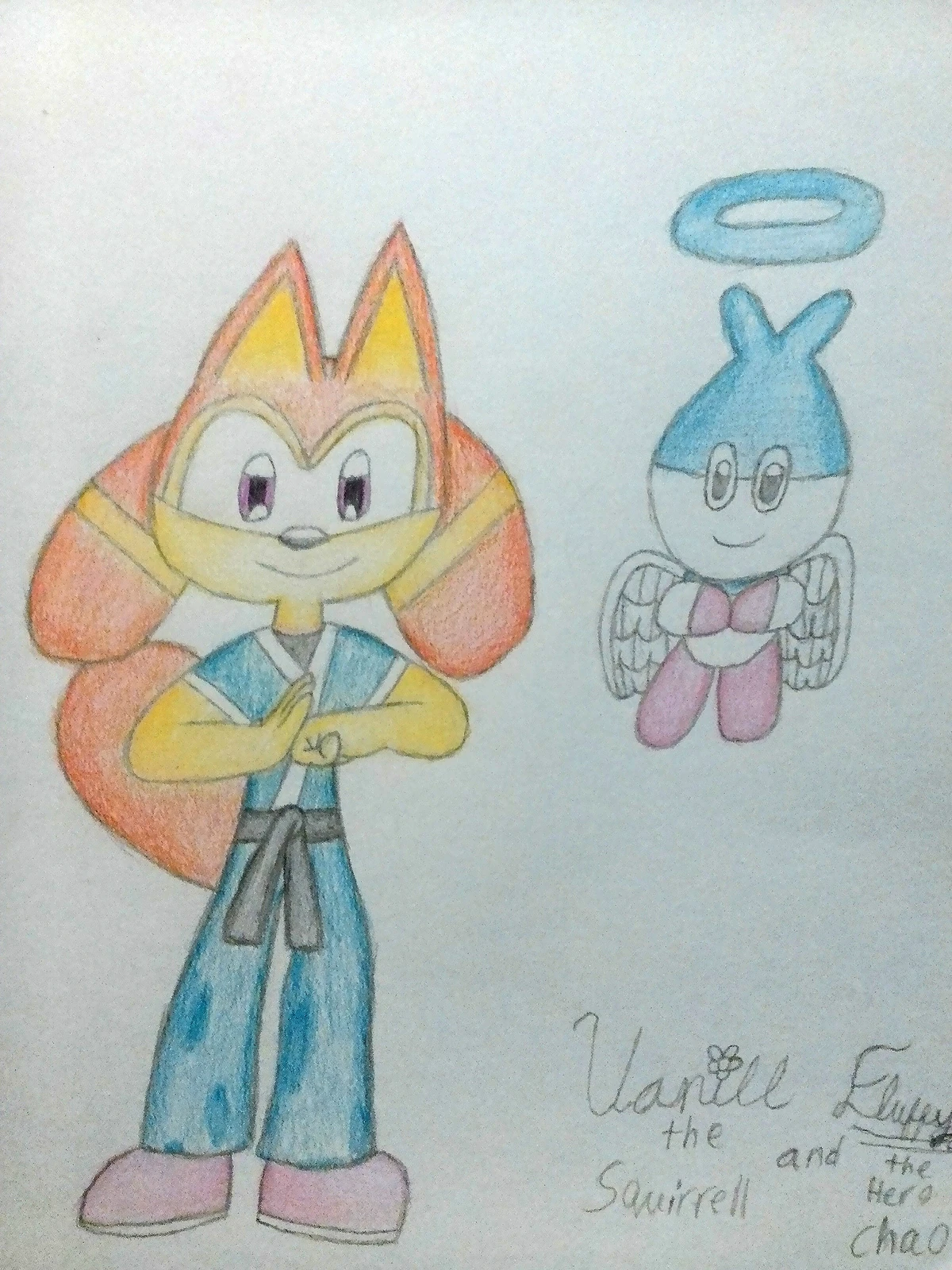 Vanill the Squirrel | Sonic Fanon Wiki | Fandom
