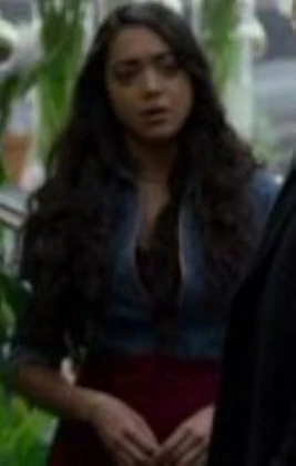 Fern | Sonic Fanon Wiki | Fandom