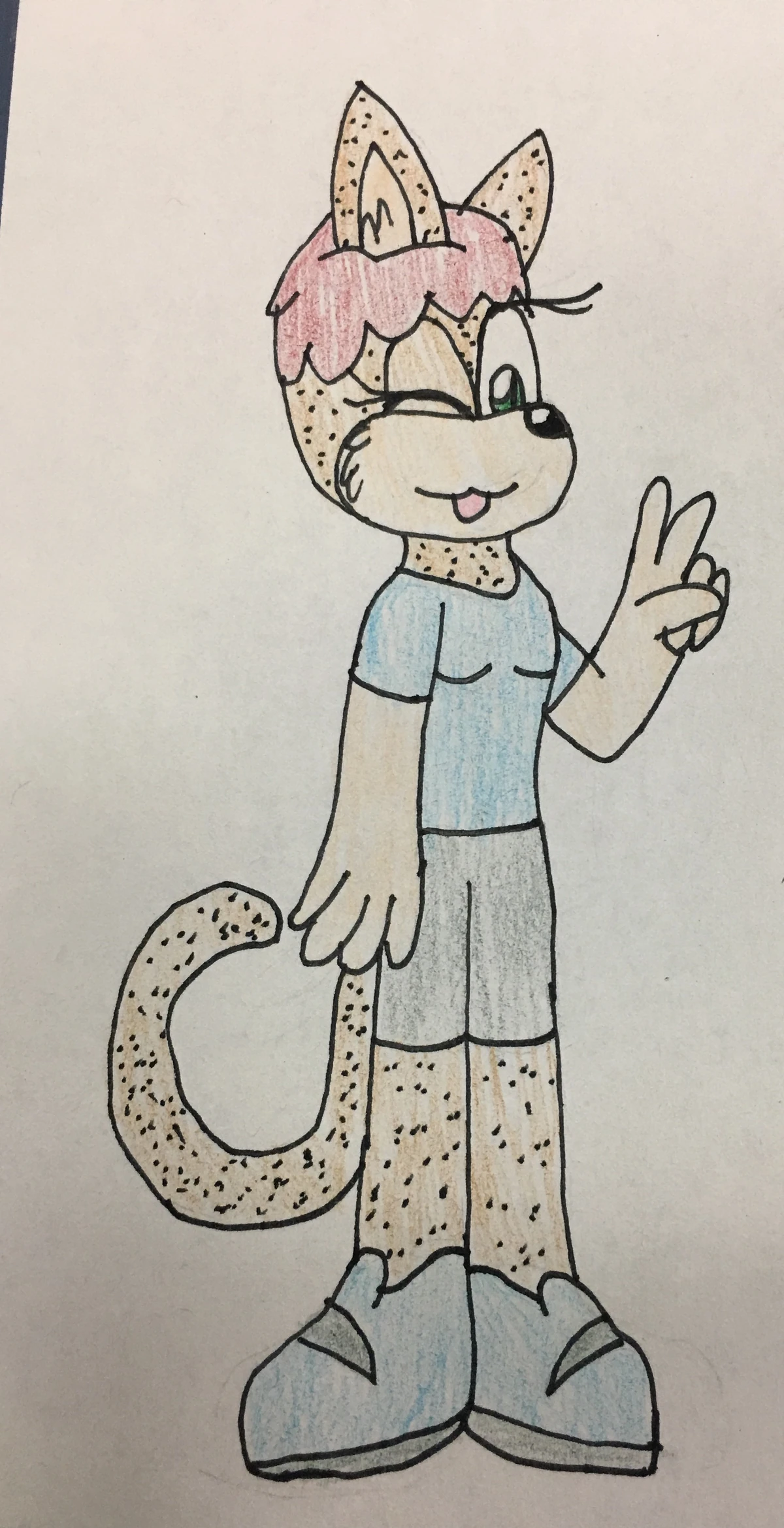 Savannah the Cheetah | Sonic Fanon Wiki | Fandom