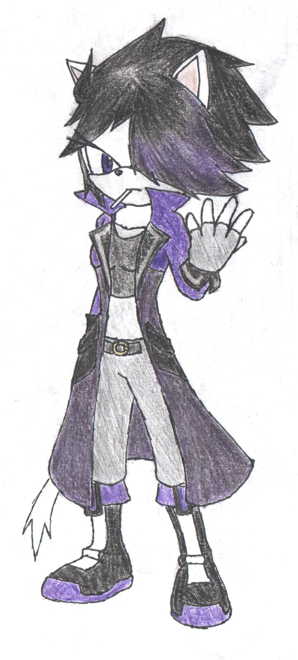 Streak | Sonic Fanon Wiki | Fandom