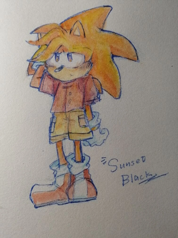 Sunset Black | Sonic Fanon Wiki | Fandom
