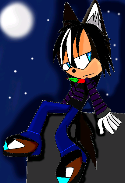 Bermuda Coyote | Sonic Fanon Wiki | Fandom