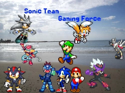 Sonic Team Gaming Force | Sonic Fanon Wiki | Fandom