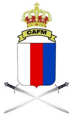 Crown Armed Forces of Mobius | Sonic Fanon Wiki | Fandom