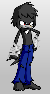 Niko "Insane" the Crow | Sonic Fanon Wiki | Fandom
