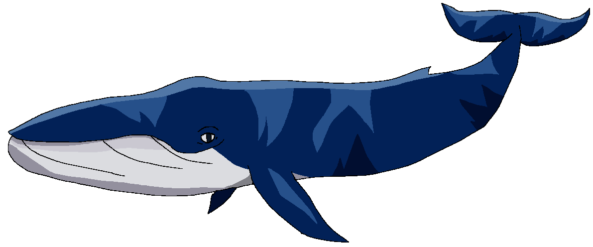 Mr. Whale | Sonic Fanon Wiki | Fandom