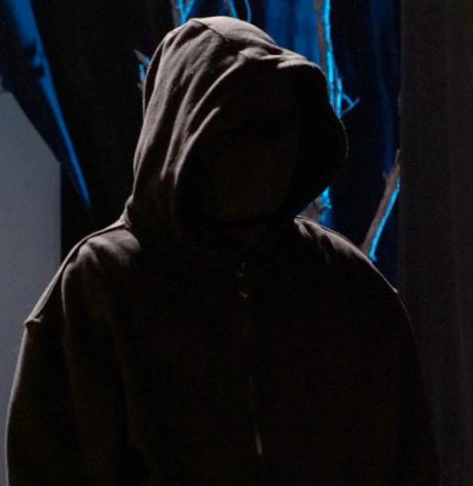 CC | Sonic Fanon Wiki | Fandom