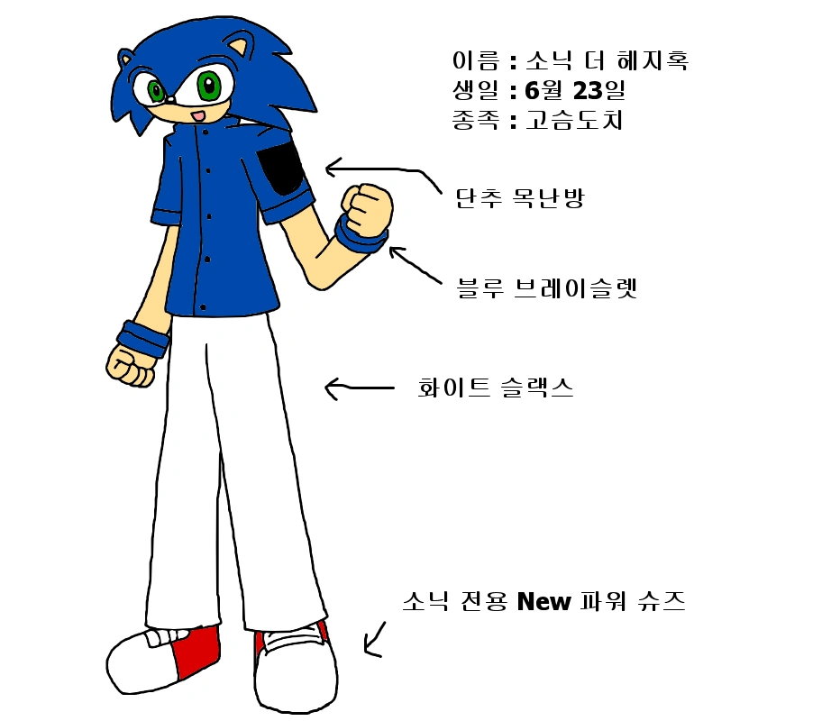 Sonic The Hedgehog (New Original Design) | Sonic Fanon Wiki | Fandom