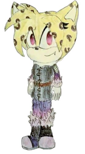 Shera Lee The Leopard | Sonic Fanon Wiki | Fandom