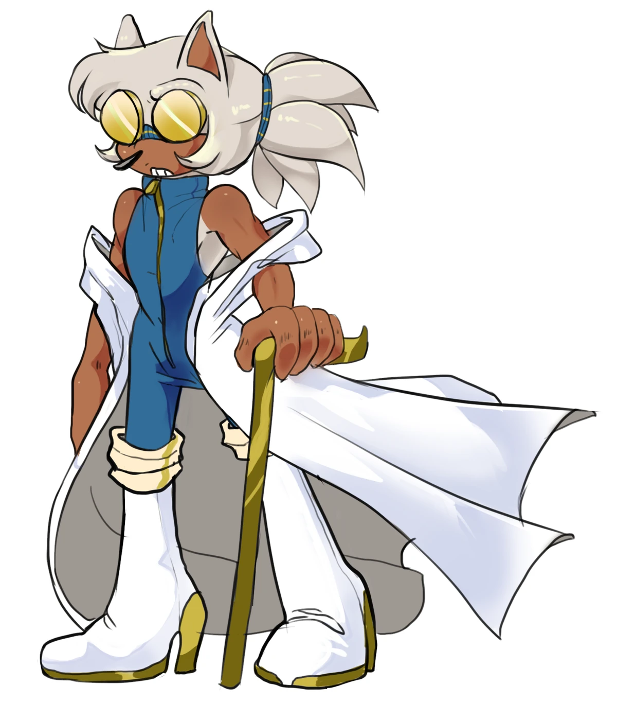 Doctor Jay the Hedgehog | Sonic Fanon Wiki | Fandom