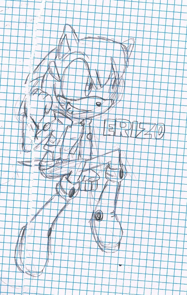 Ryder The Hedgehog | Sonic Fanon Wiki | Fandom