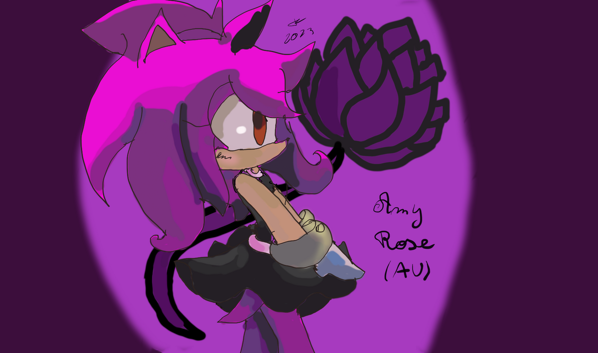 Amy Rose/Sunset Black's universe | Sonic Fanon Wiki | Fandom