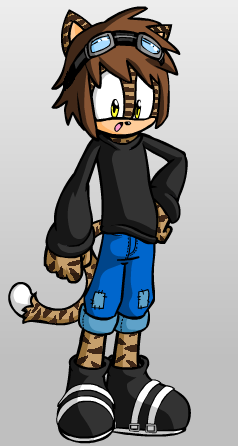 Ray the Cat (SteampunkFox001) | Sonic Fanon Wiki | Fandom