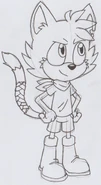 Calvin the Cat | Sonic Fanon Wiki | Fandom