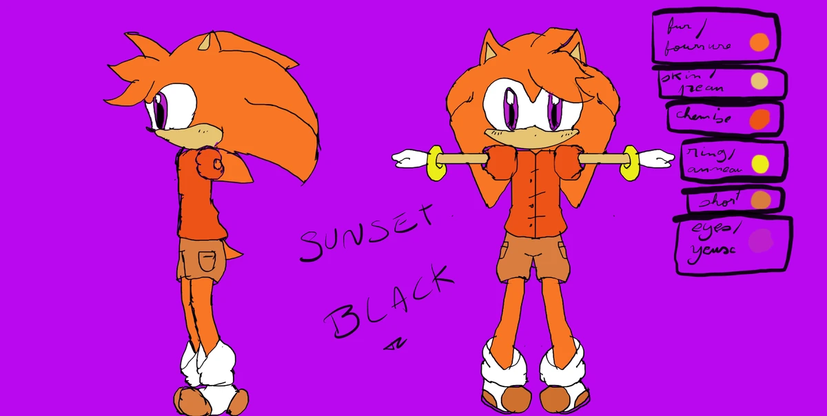 Sunset Black/Gallery | Sonic Fanon Wiki | Fandom
