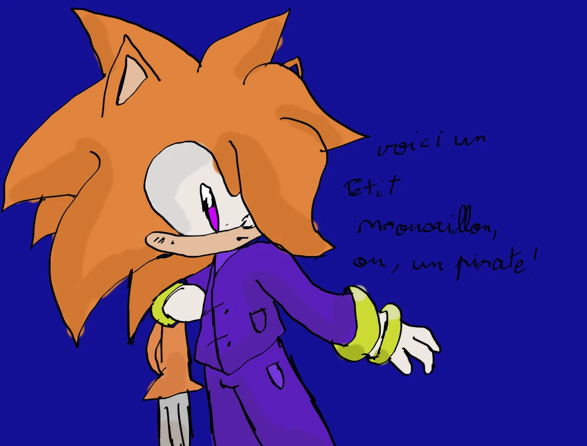 Matelot Sunset | Sonic Fanon Wiki | Fandom