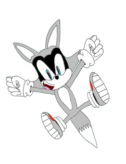Rocky the Raccoon | Sonic Fanon Wiki | Fandom