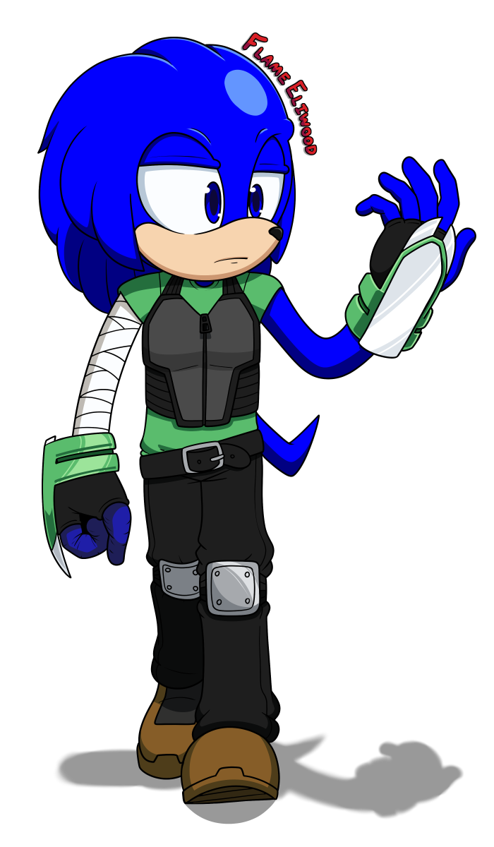 Smash The Echidna | Sonic Fanon Wiki | Fandom