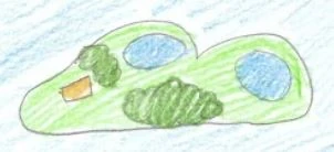 Forest Island | Sonic: Hedgehog of Green Hills Wiki | Fandom