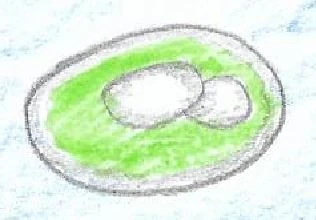 Flicky Island | Sonic: Hedgehog of Green Hills Wiki | Fandom