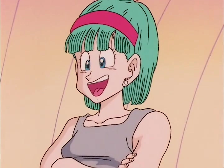 Bulma | Sonic's Adventure Wiki | Fandom