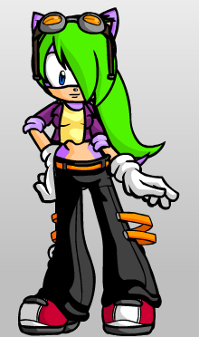 Nicole the Hedgehog | Sonic's Adventure Wiki | Fandom