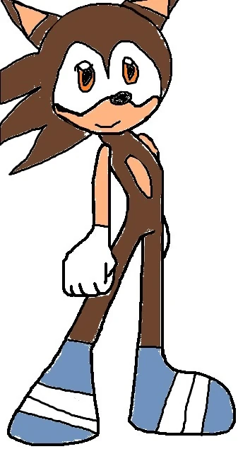 Simon the Hedgehog | Sonic's Adventure Wiki | Fandom