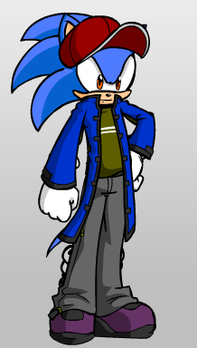Andrew the Hedgehog | Sonic's Adventure Wiki | Fandom