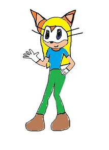 Roxy the Hedgehog | Sonic's Adventure Wiki | Fandom