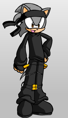 Xavier the Hedgehog | Sonic's Adventure Wiki | Fandom