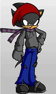 Z the Hedgehog | Sonic's Adventure Wiki | Fandom